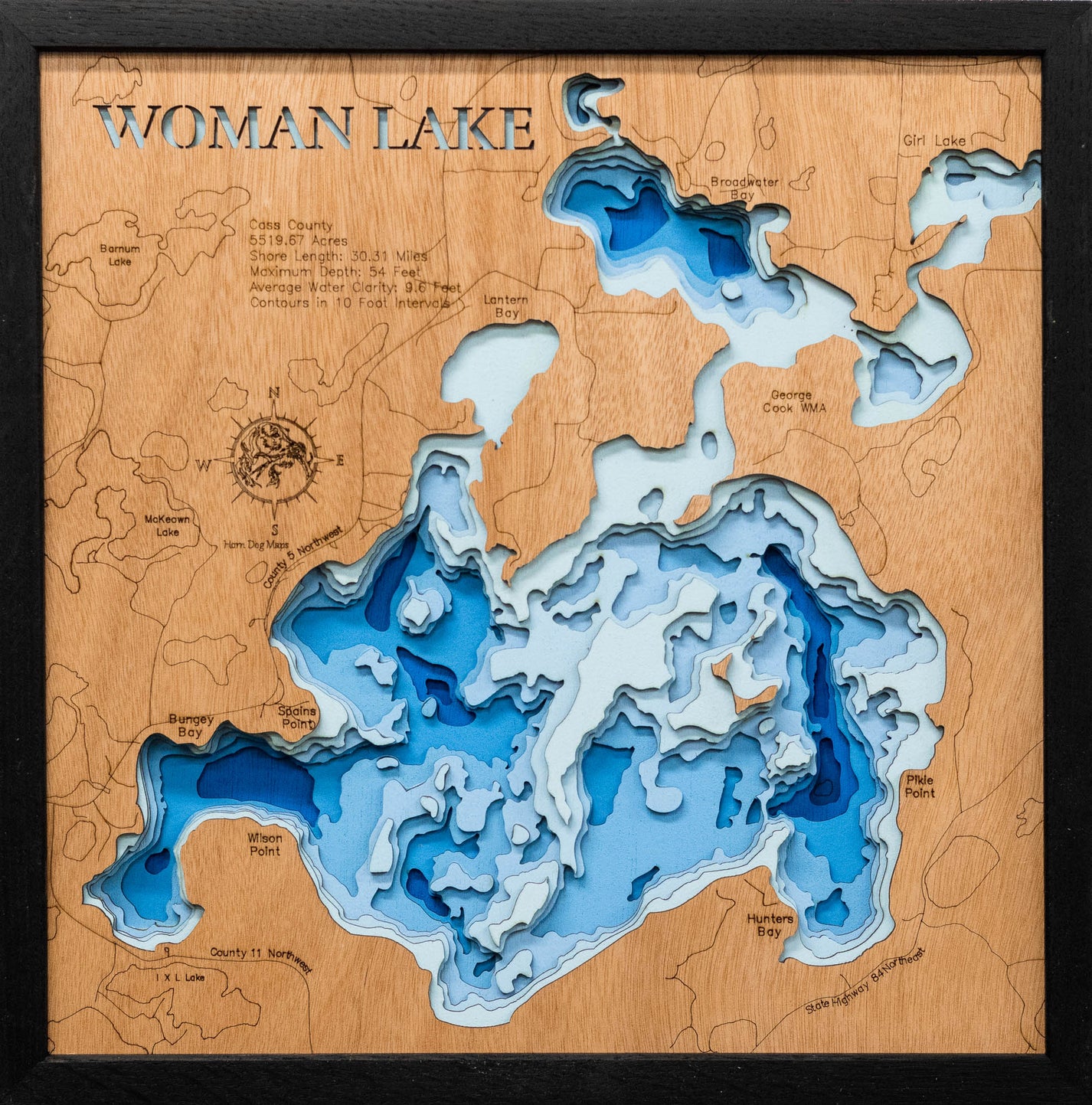 3D Lake Map of Woman Lake in Cass County, MN